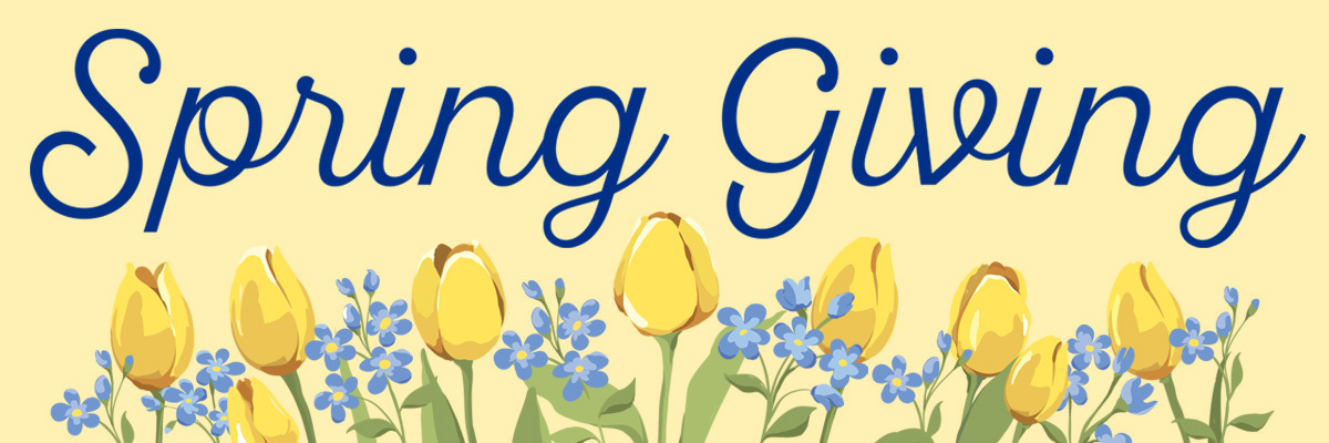 KCD Spring Days of Giving 2024-25 · GiveCampus