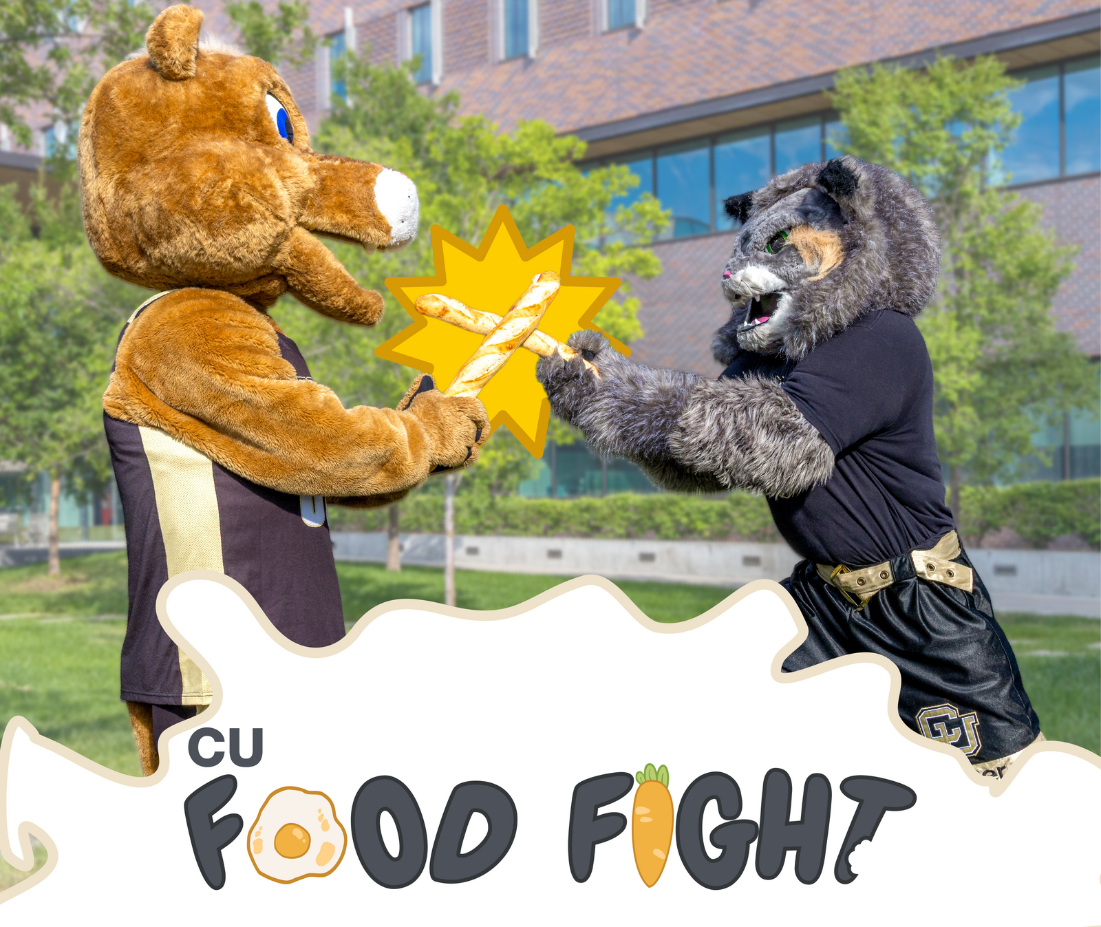 CU Food Fight · GiveCampus
