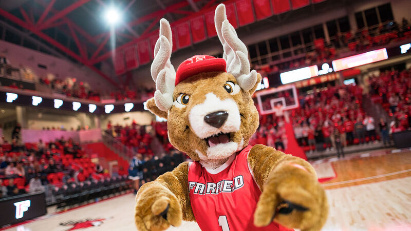 Fairfield University: Lucas's Reading Challenge · GiveCampus